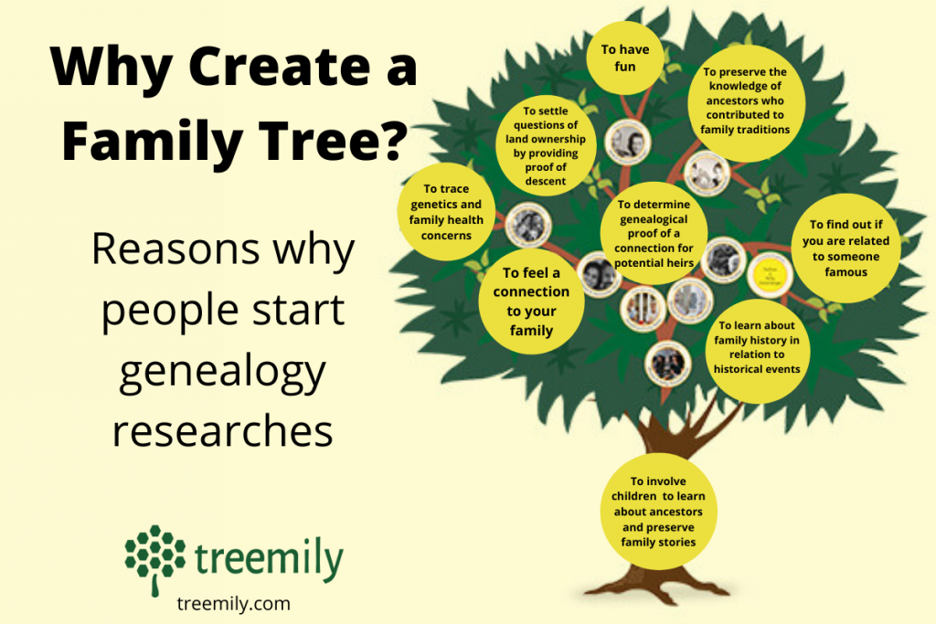 7 Effective Tips on How to Make a Family Tree | Treemily