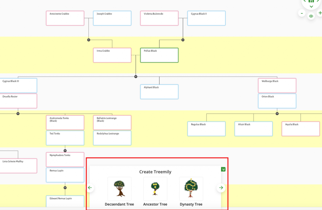 Treemily Family Tree Builder Update: Best Features You | Treemily