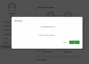 Treemily Family Tree Builder Update: Best Features You | Treemily