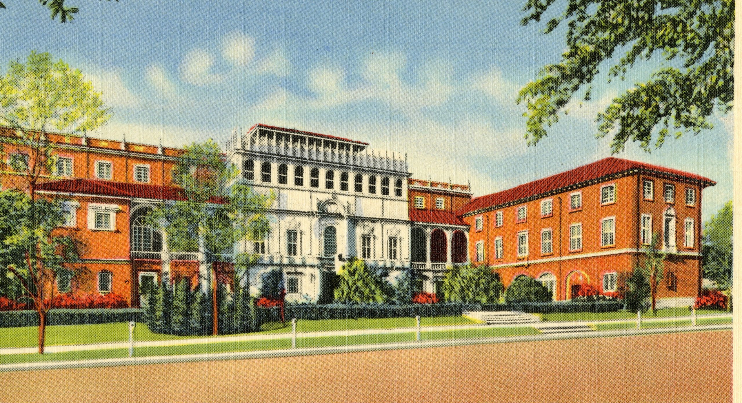 The Best Genealogy Libraries for Creating a Family Tree | Treemily