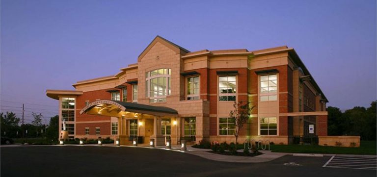 The Best Genealogy Libraries for Creating a Family Tree | Treemily