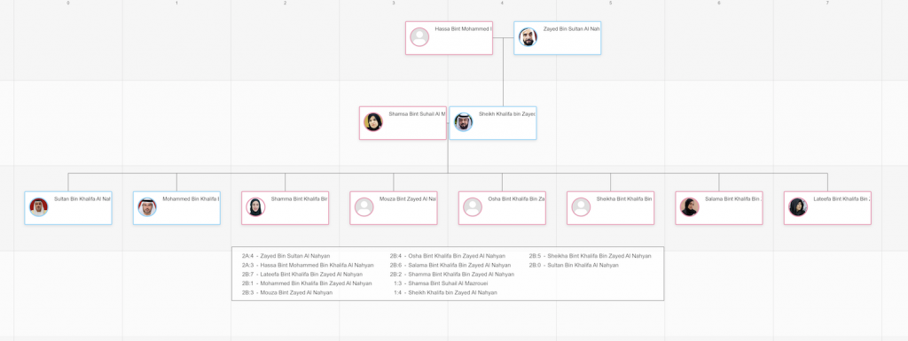 Sheikh Khalifa bin Zayed Al Nahyan Family | Treemily