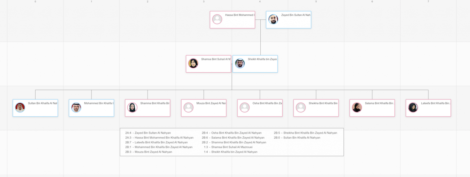 Sheikh Khalifa bin Zayed Al Nahyan Family | Treemily