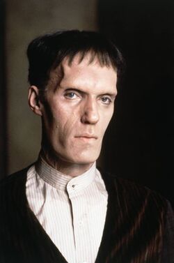 Discover the Story of the Addams family and its family Tree| Treemily