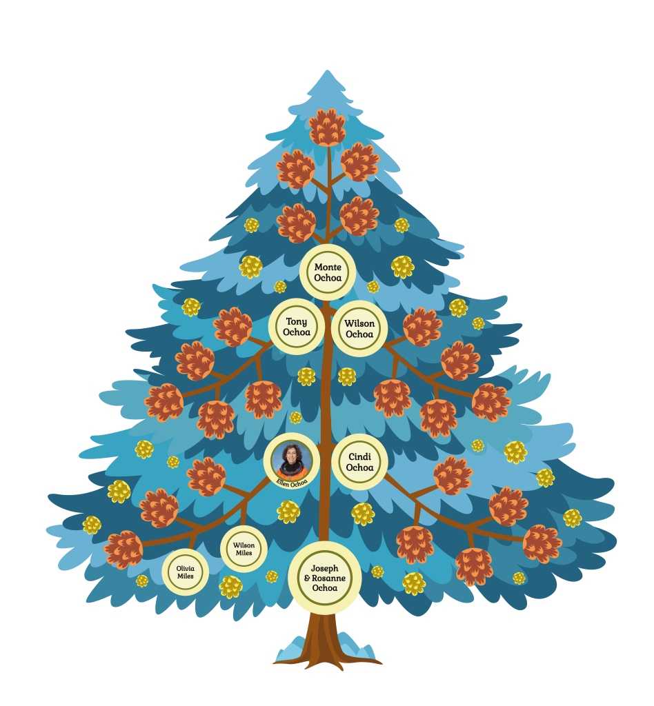 Who are Ellen Ochoa’s Family Members?