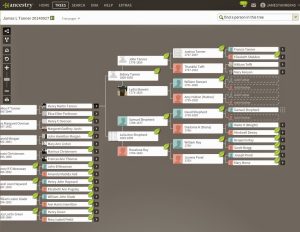 Experts’ opinions: 7 best family tree chart makers for Mac, PC & Mobile ...