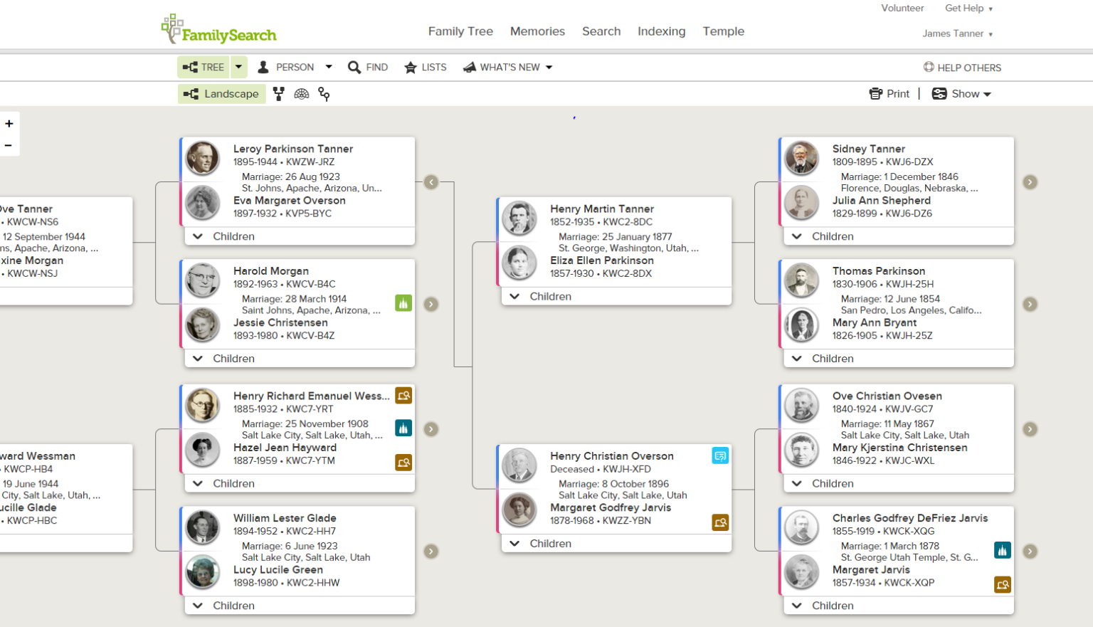 Experts’ opinions: 7 best family tree chart makers for Mac, PC & Mobile ...
