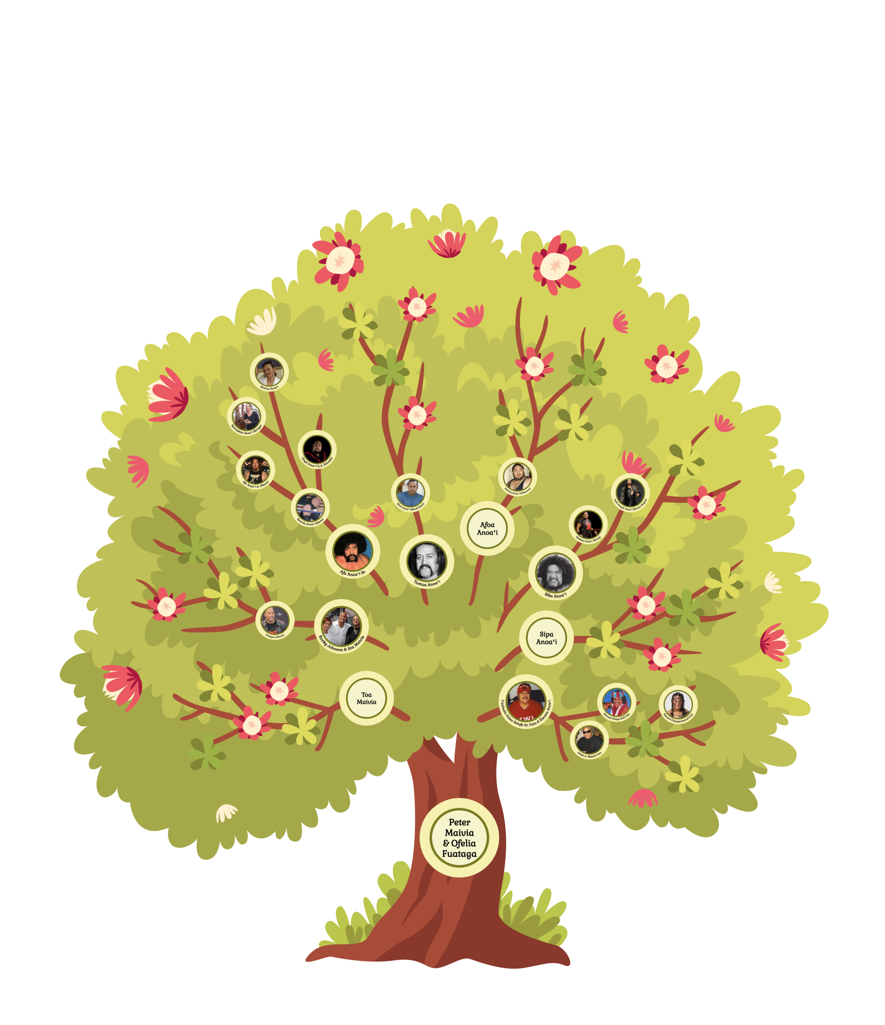 The Rock Family Tree: Tracing Dwayne Johnson's WWE Roots