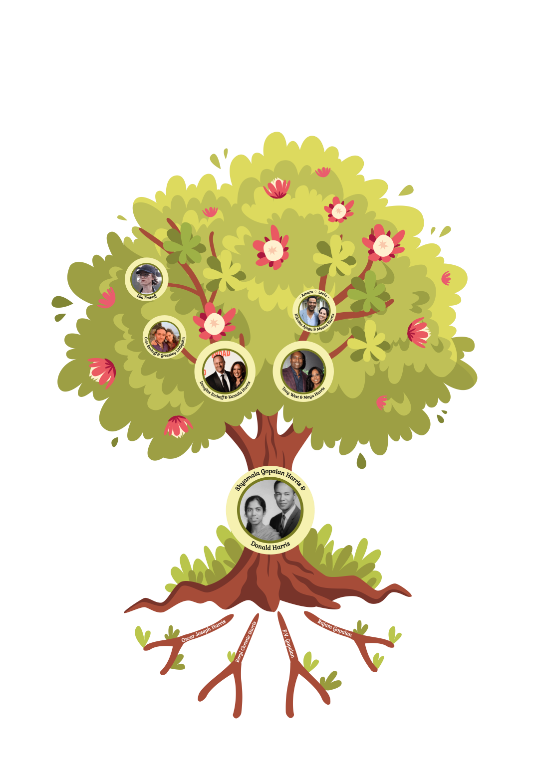 Kamala Harris Family Tree: A Look at Her Lineage