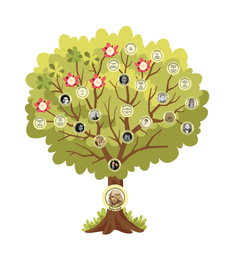 Taylor Swift Family Tree: Ancestry, Cousins, and Royal Ties