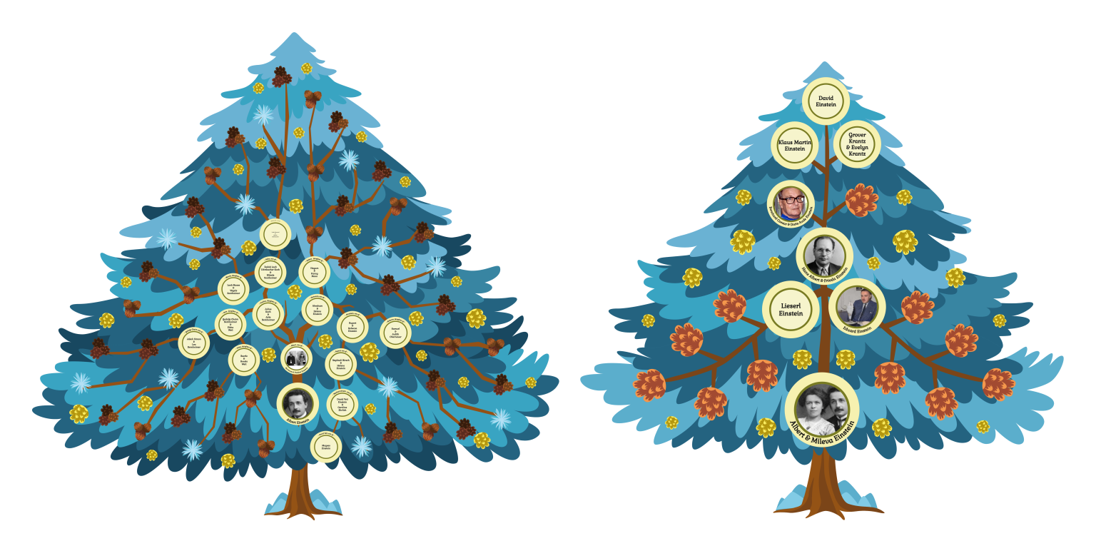 Albert Einstein Family Tree: Tracing Ancestry and Lineage