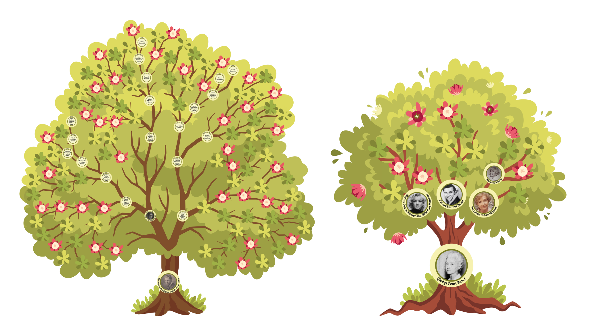 Marilyn Monroe's Family Tree: Complete Ancestry Guide